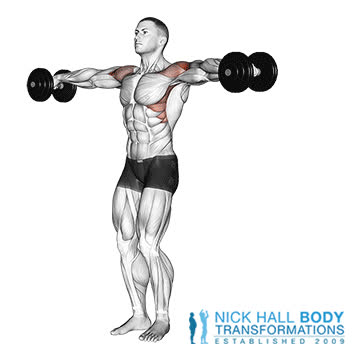 lateral db raise