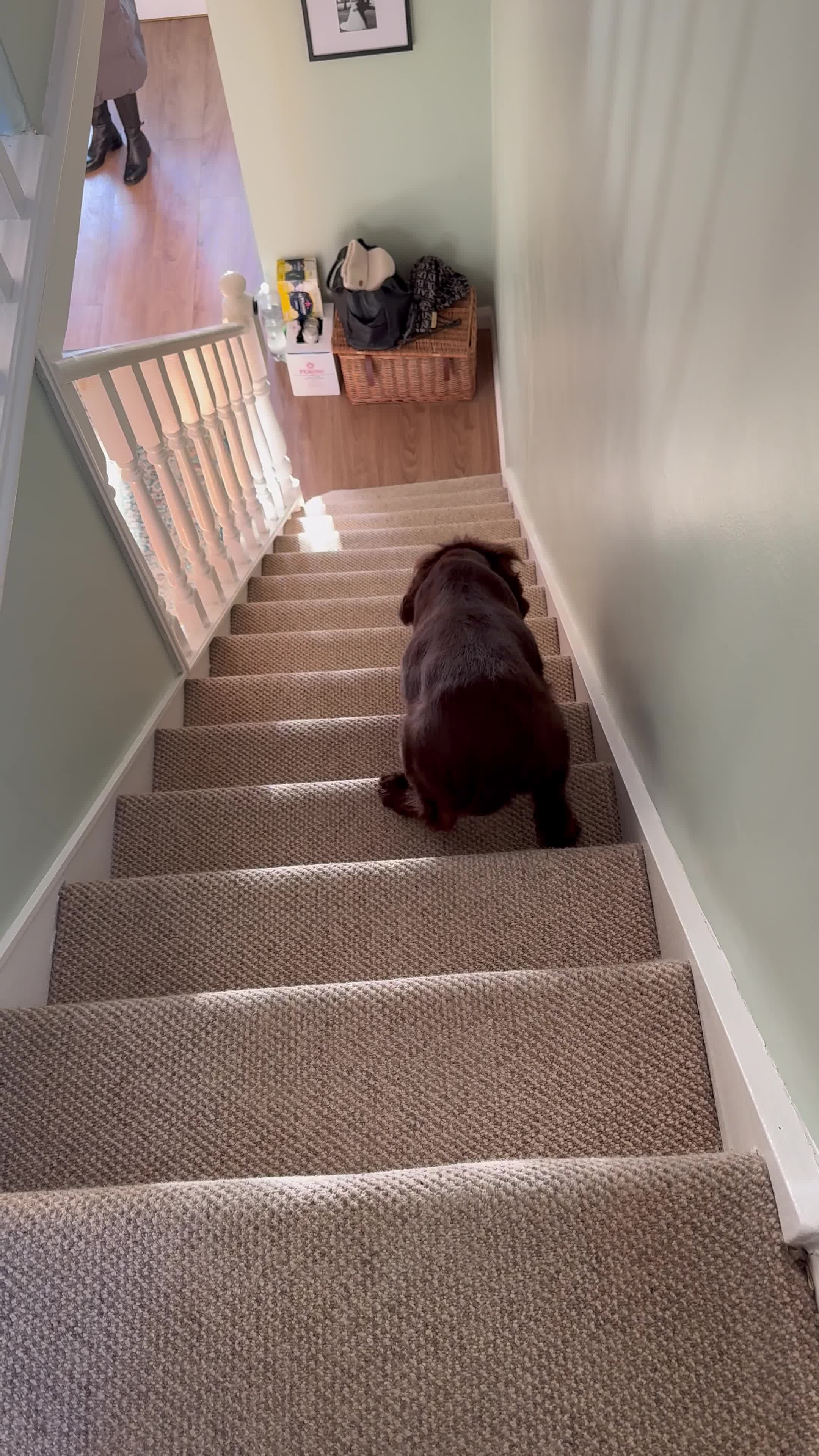 Watch IMG_3483 | Streamable