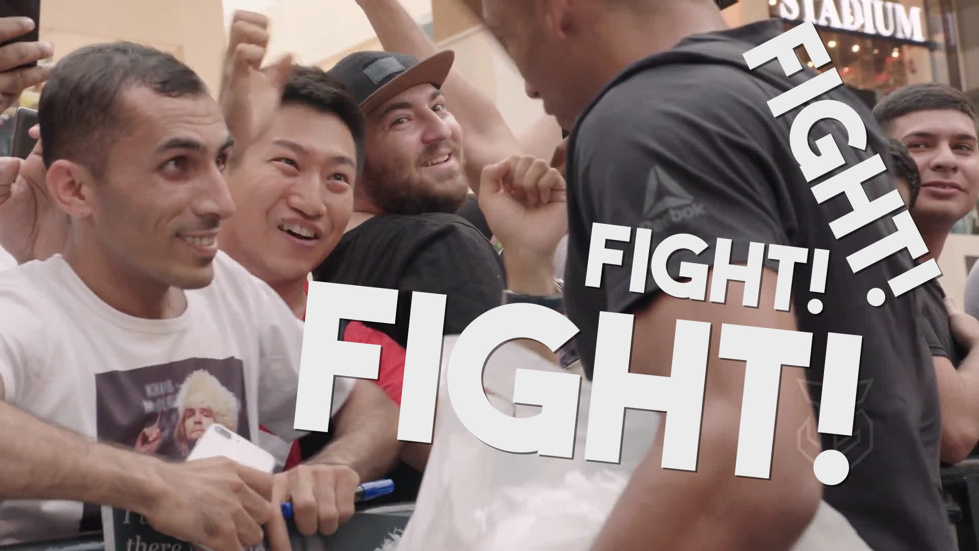 UFC Fan FIGHT FIGHT w audio