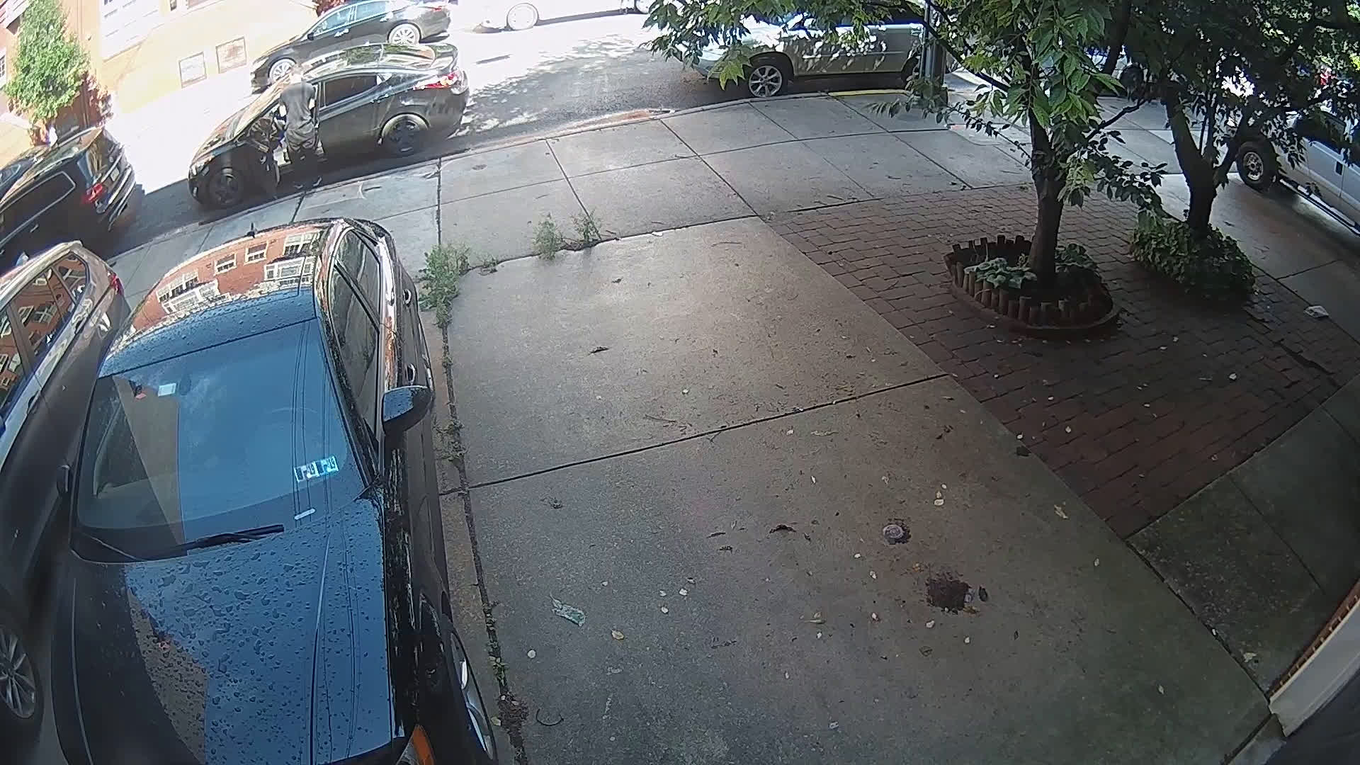 06-20-2019 16-21-09 C Driveway Camera