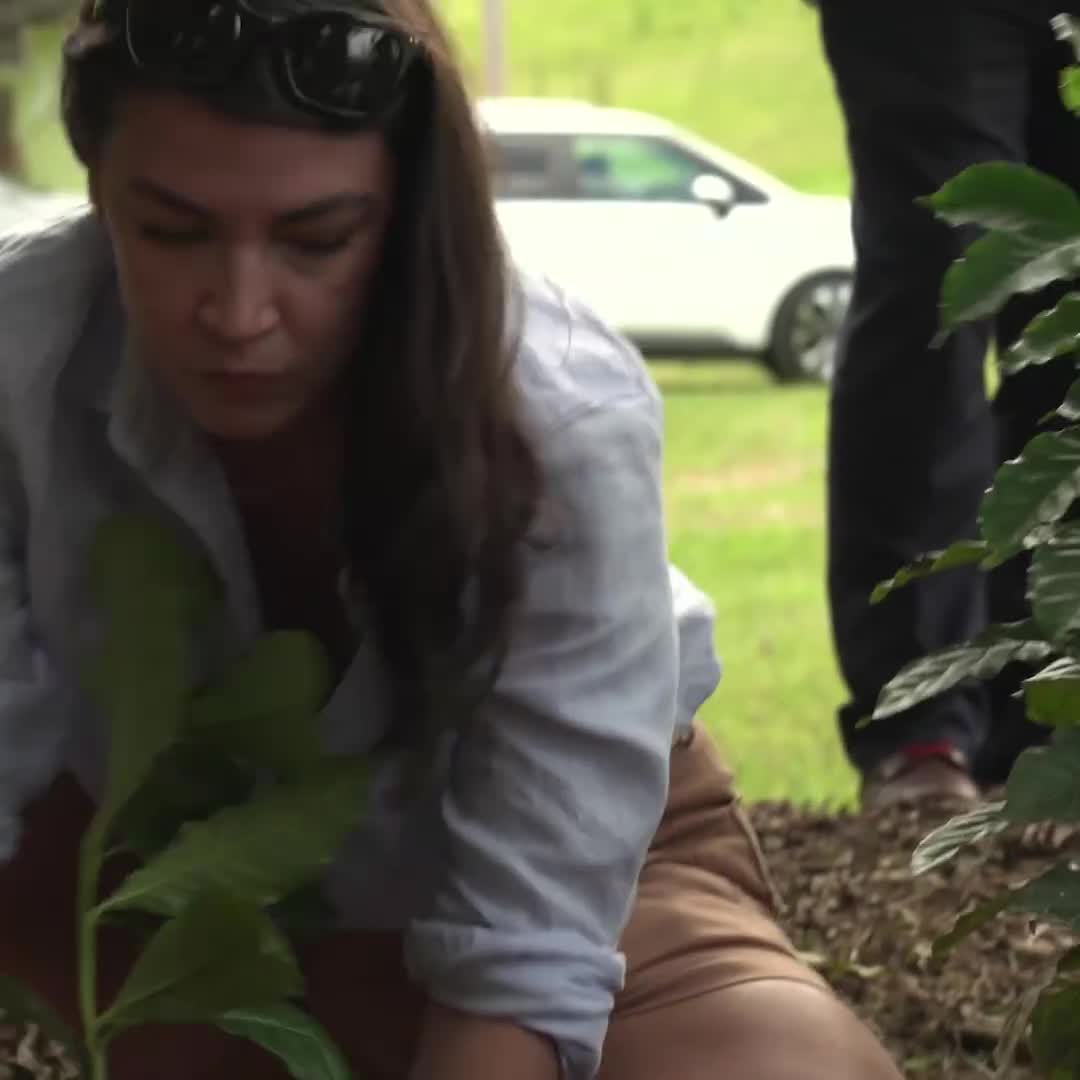 Watch Snapinsta.app_video ...