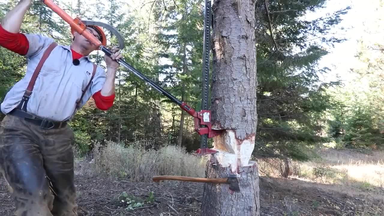 Lumber Jack-Wad