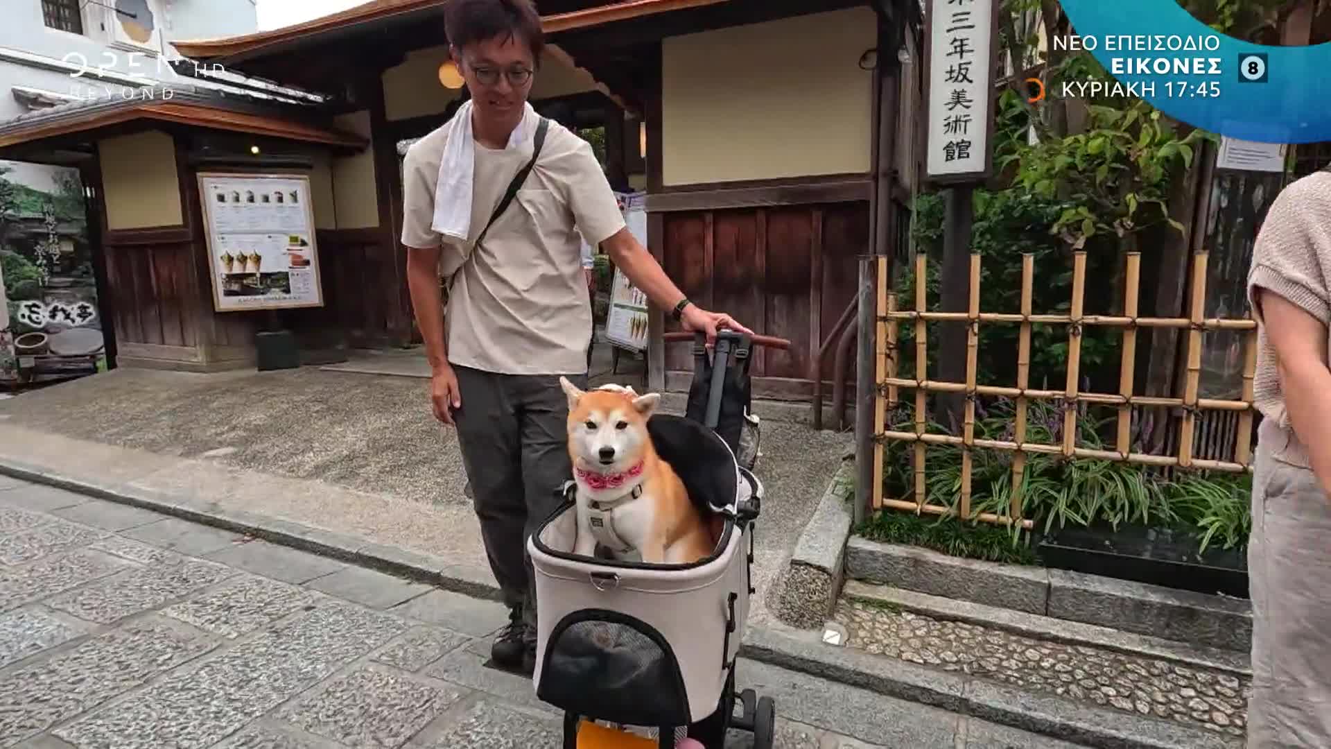 Watch _PR812KY101124_8-EIKONES_S16_EP06_KYRIAKH_1745_CC | Streamable