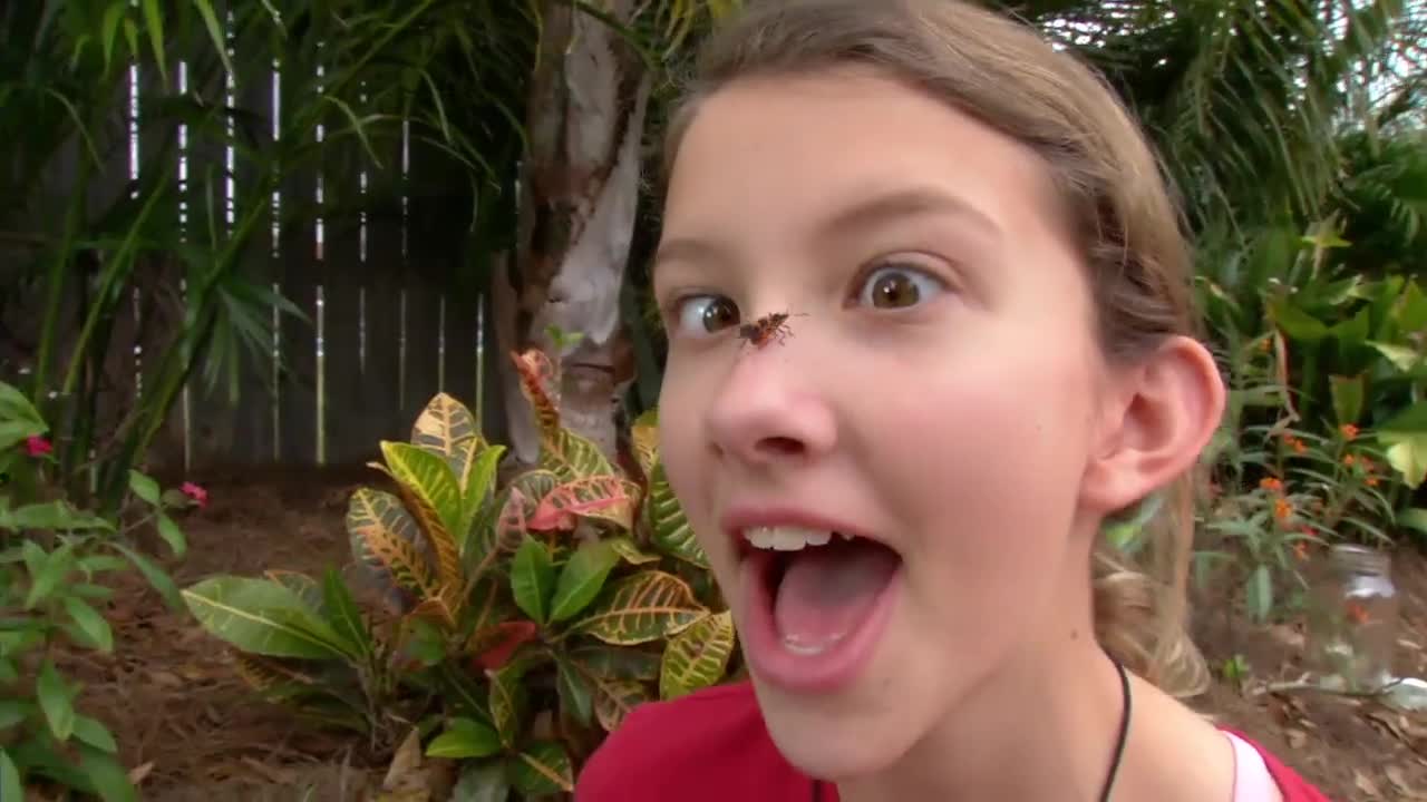 Watch Outsider's Club (The) Trailer | Streamable