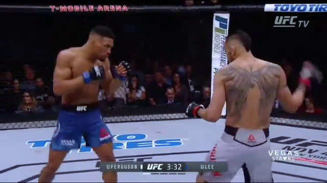Top 3 lightweights