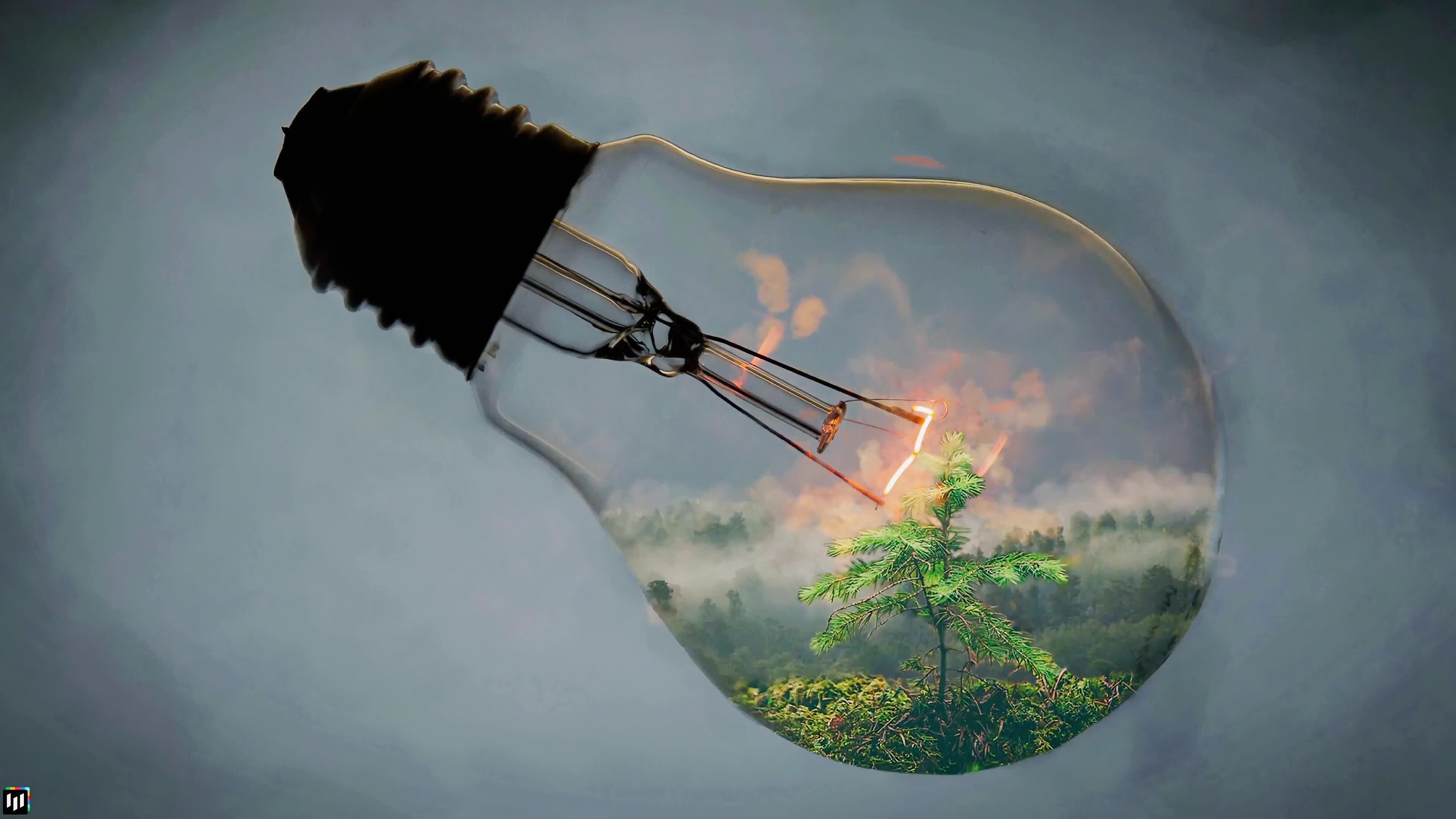 Watch Fantasy Bulb - Live Wallpaper | Streamable