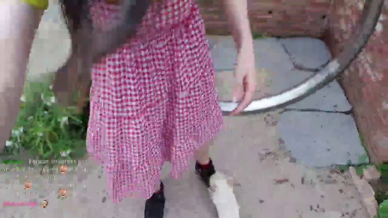 Doggo Viciously Attacks Korean Streamer