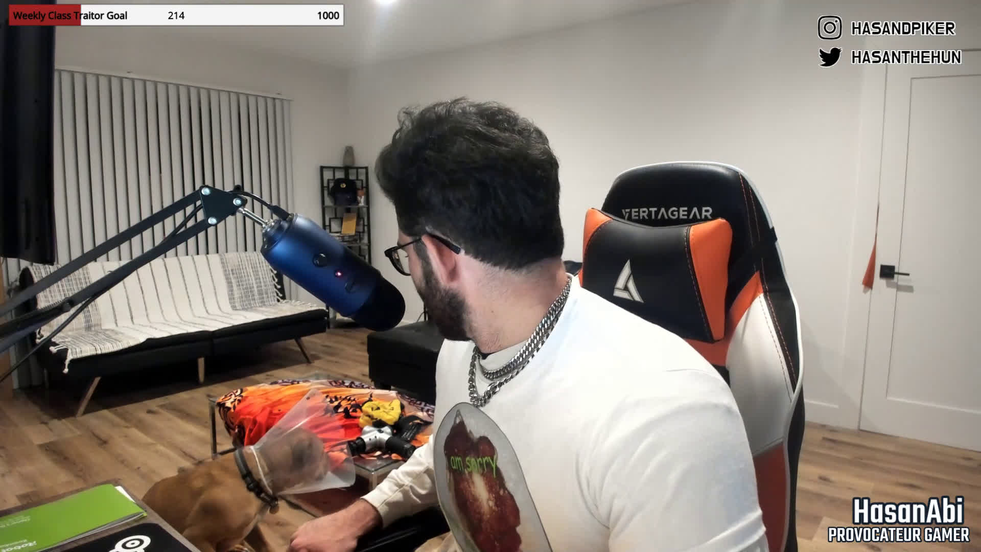 Hasan's dog fish is now a cone boy and he hates it.