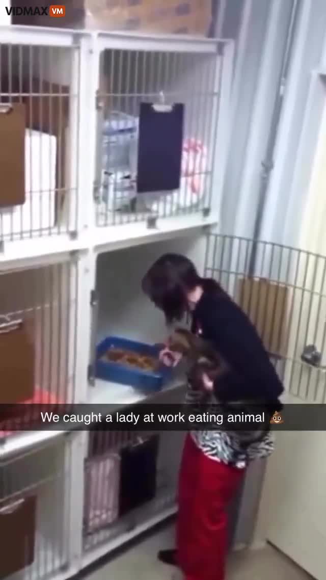 Workers Caught Lady At Animal Shelter Eating Cat Pies (1)