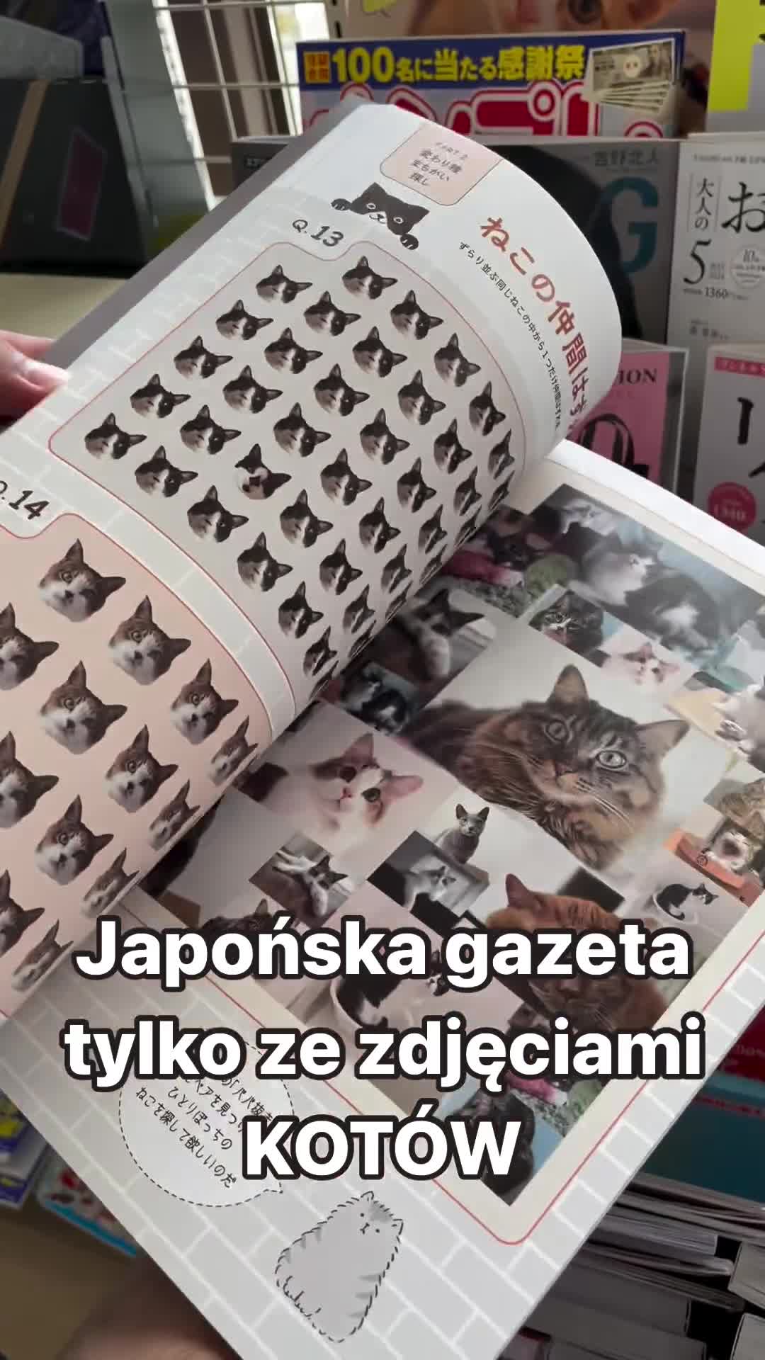 Watch https://www.instagram.com/p/C5_Vtv8P27Q/ | Streamable