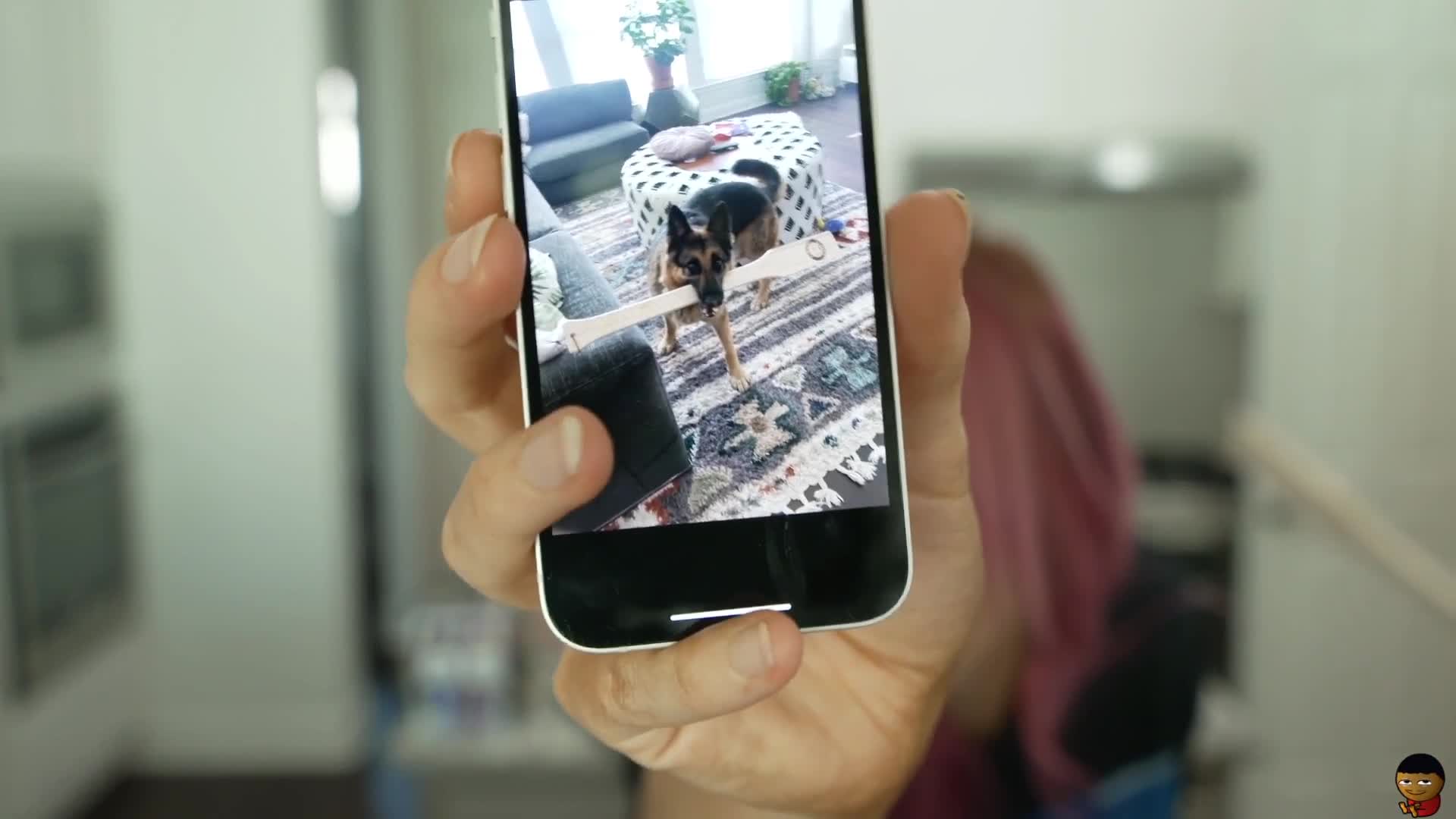 Watch watch out | Streamable