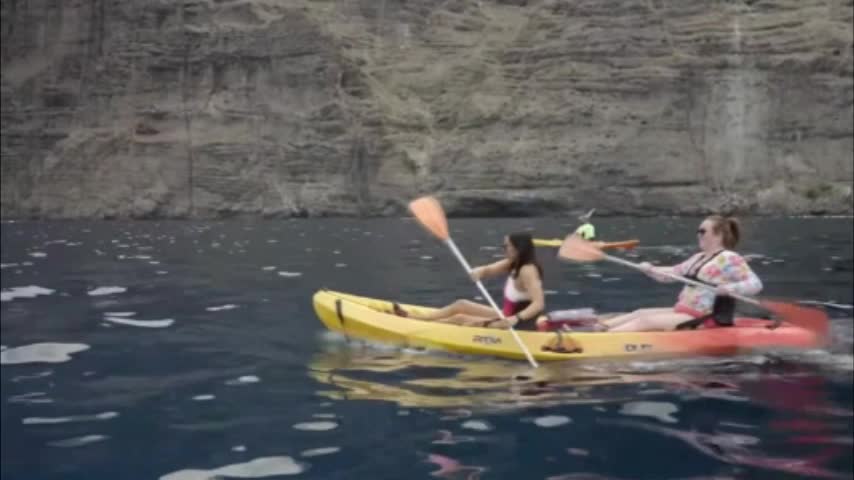 Captain bogie sparrow