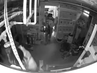 Watch Quick Thinking | Streamable