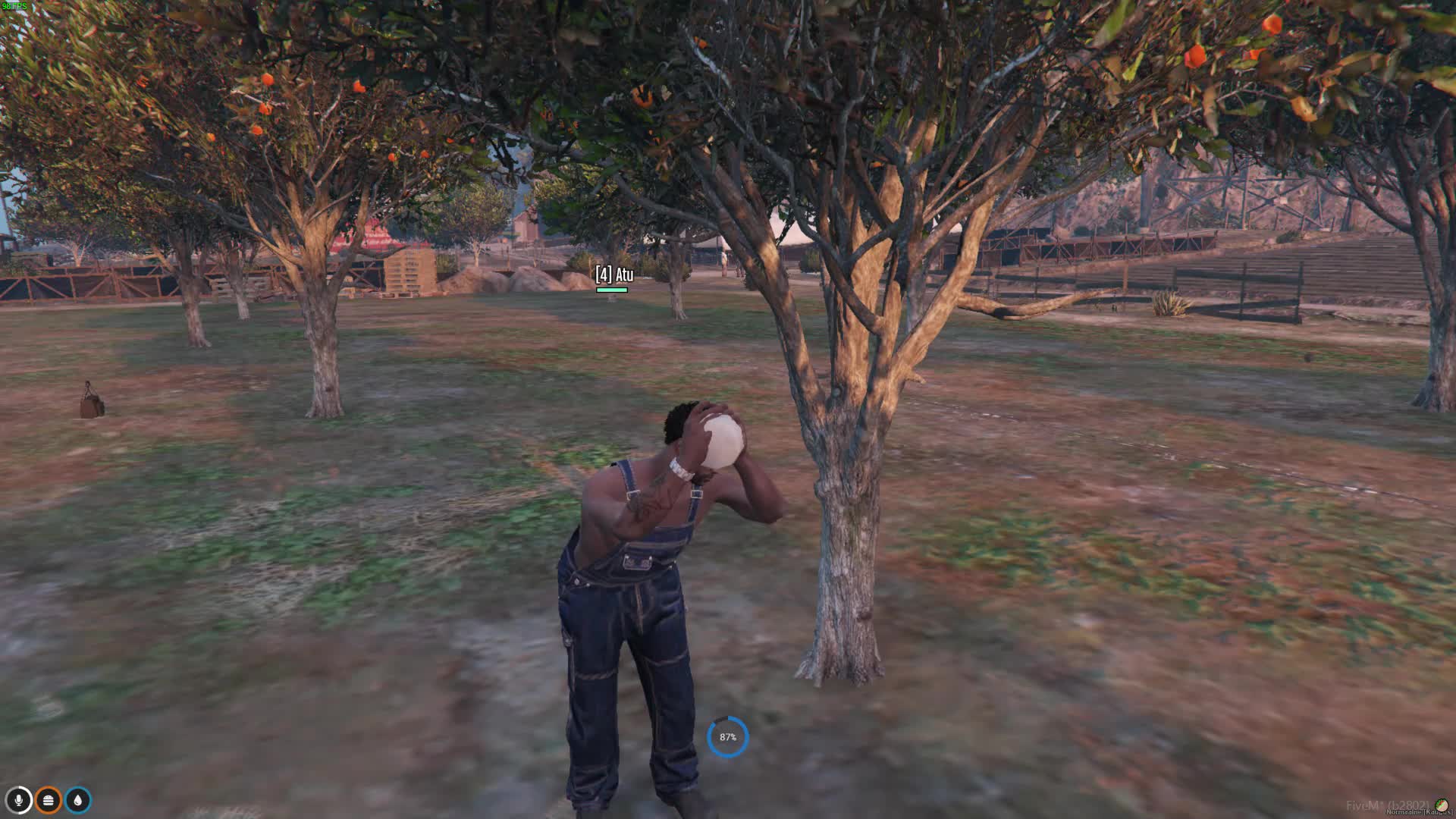 Watch showcase_apple | Streamable