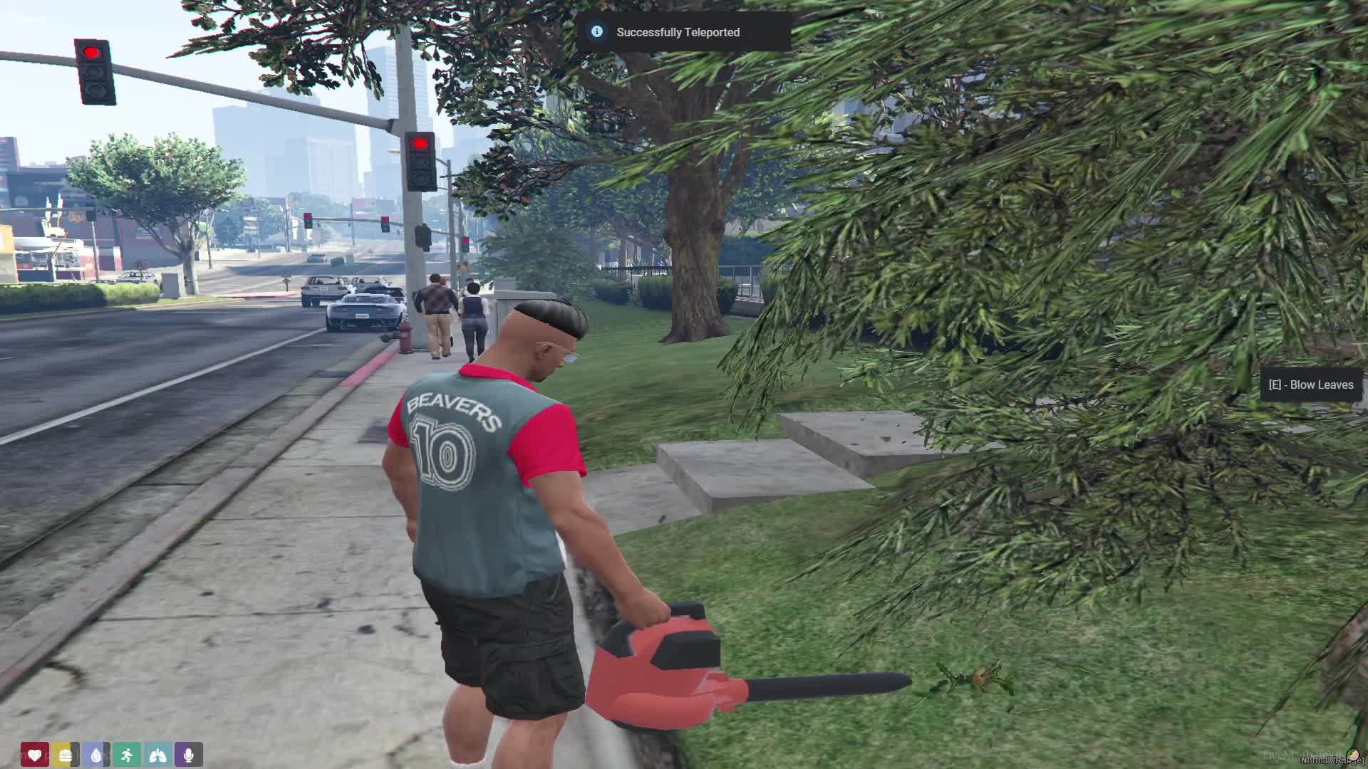 Watch GARDENER - SHOWCASE | Streamable