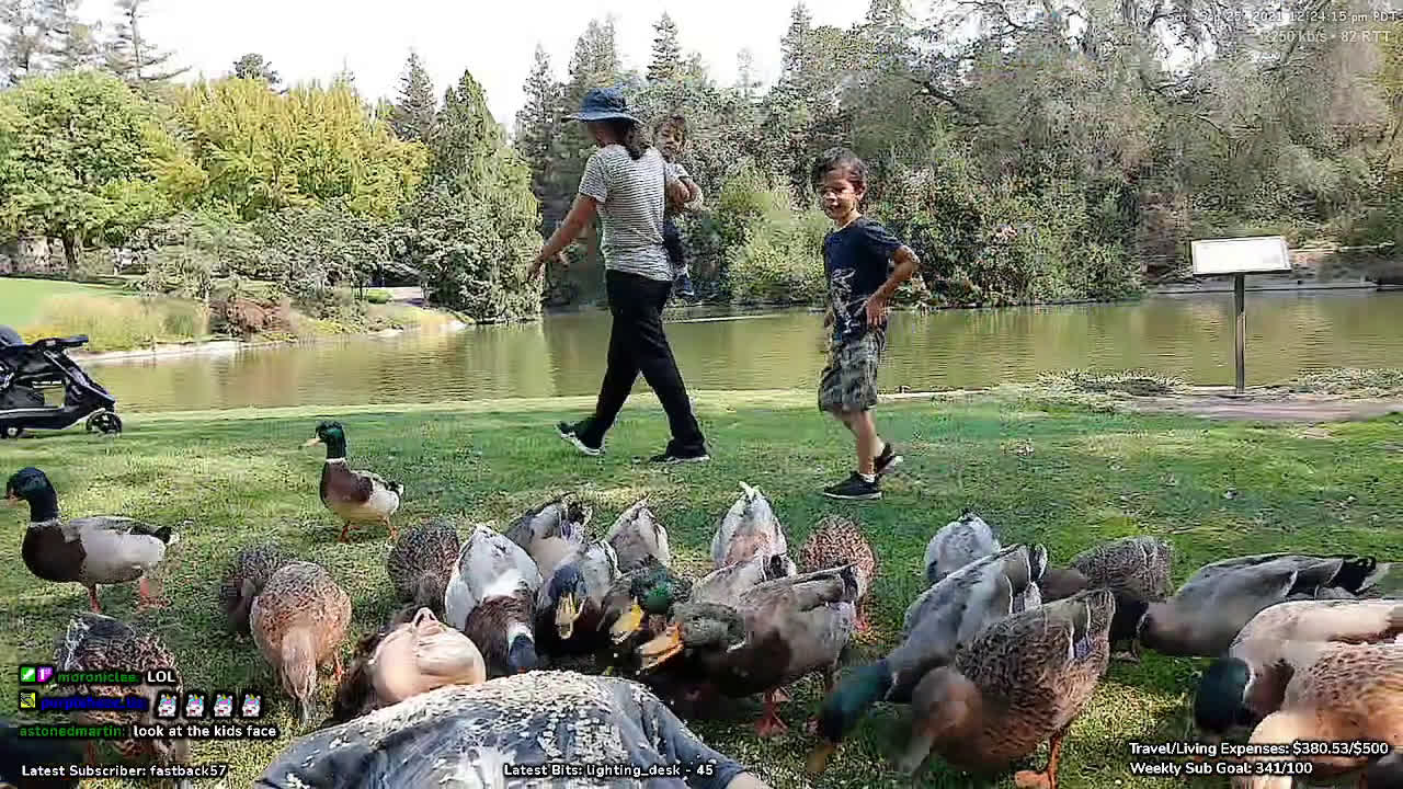 Stinky lets ducks eat from his mouth