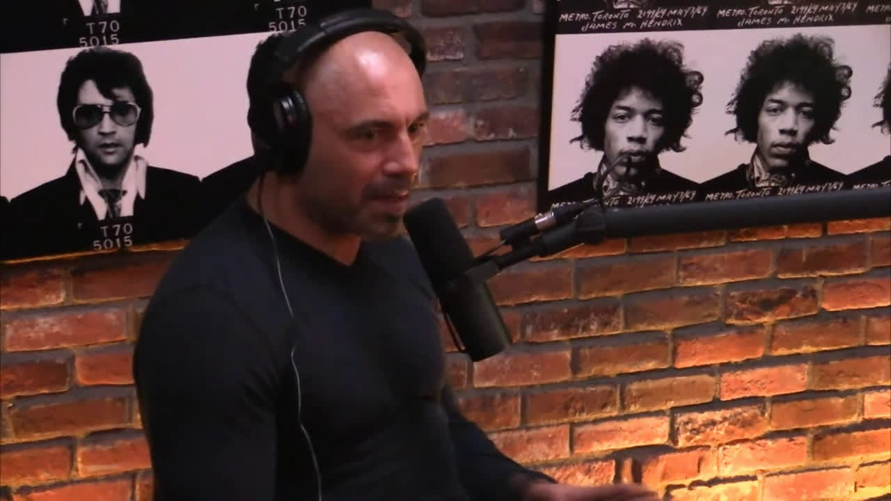 A Message To The Cats From Joe Rogan