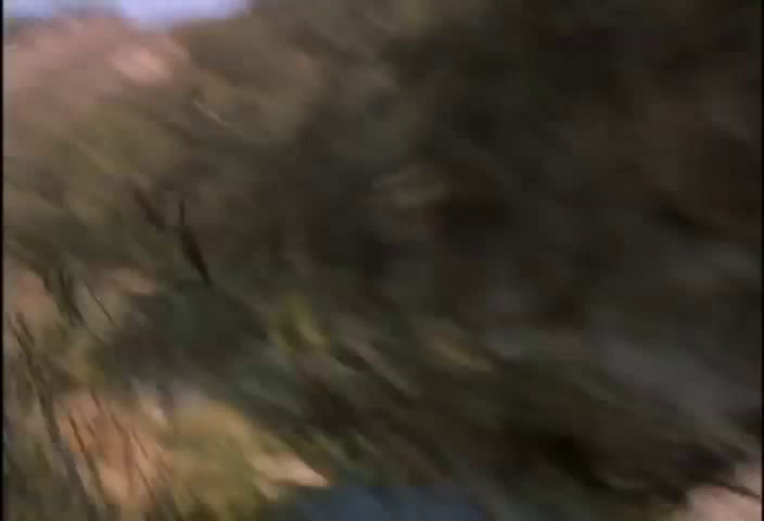 Mac and Me Wheelchair reversed