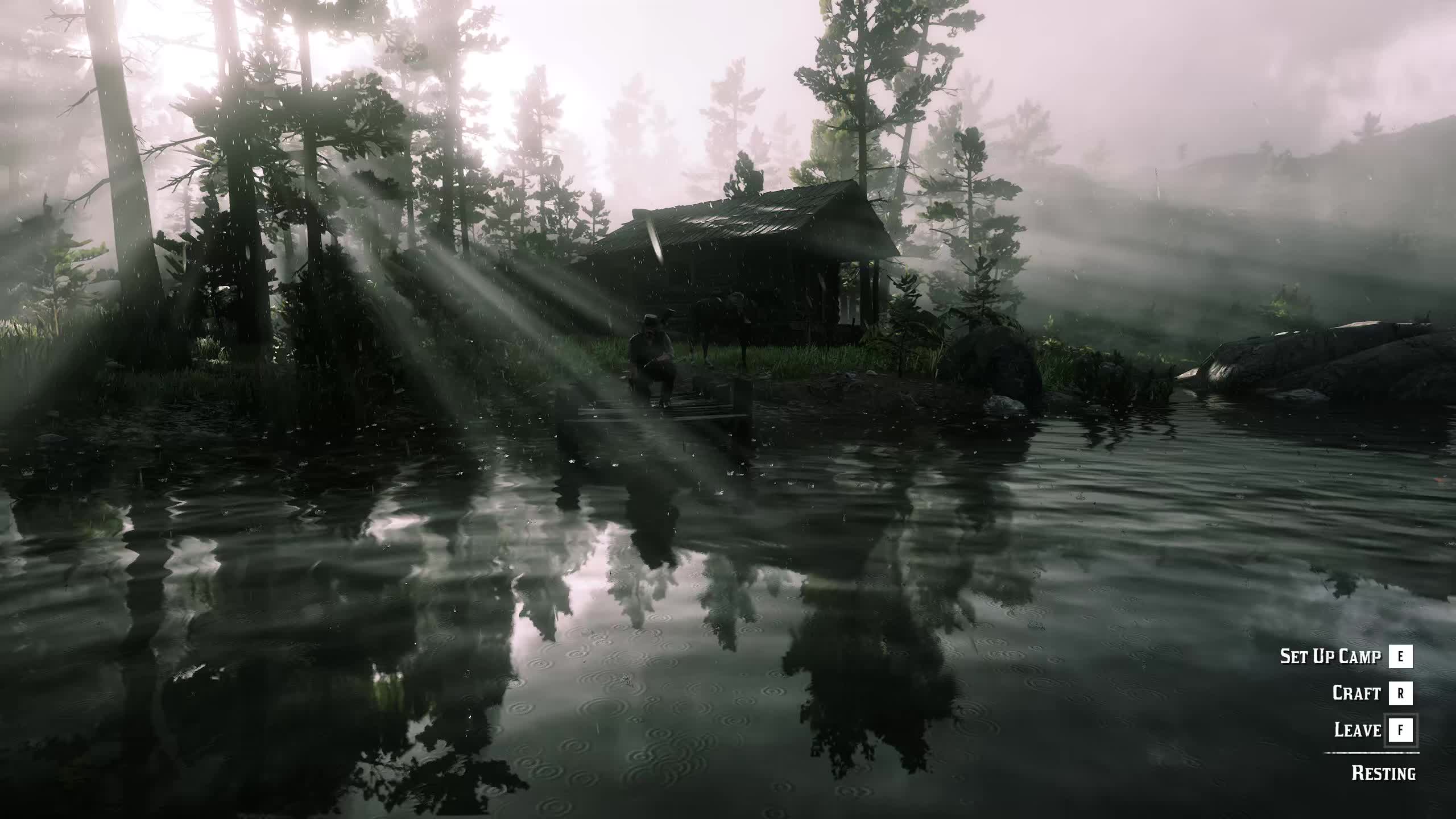 Red Dead Redemption 2 rain