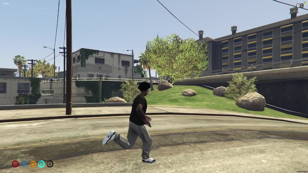 Watch Hawk! | Streamable