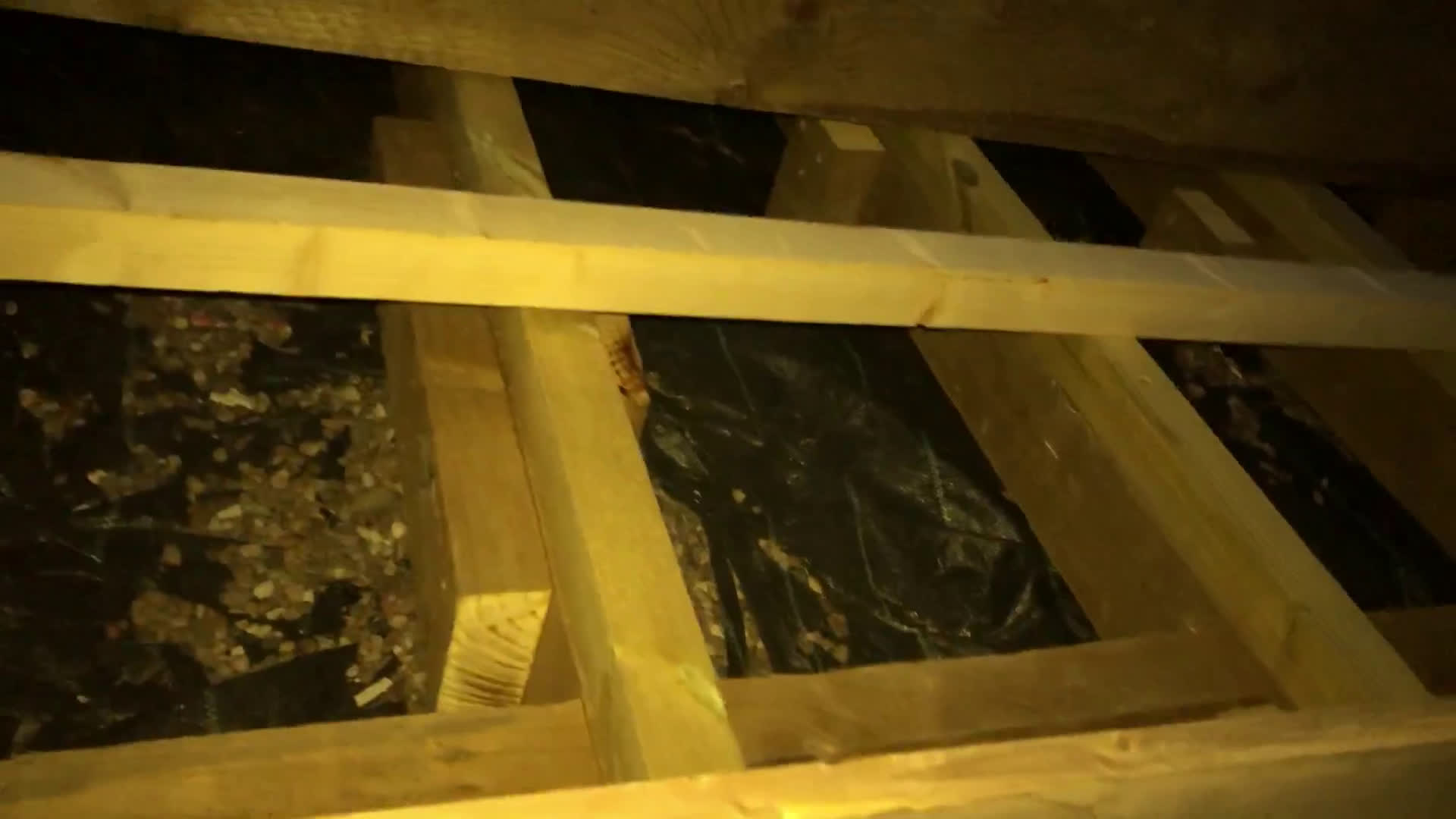 Watch CE29AD4D-BF82-42F8-B603-85BB55E72083 v2 | Streamable