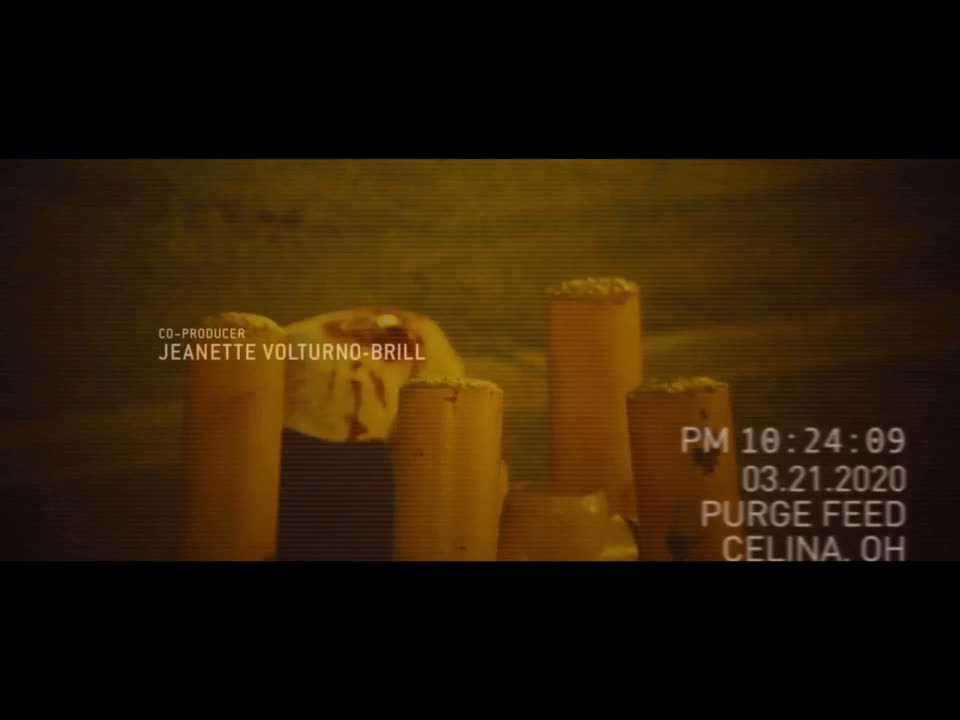 "THE PURGE": Predictive Programming