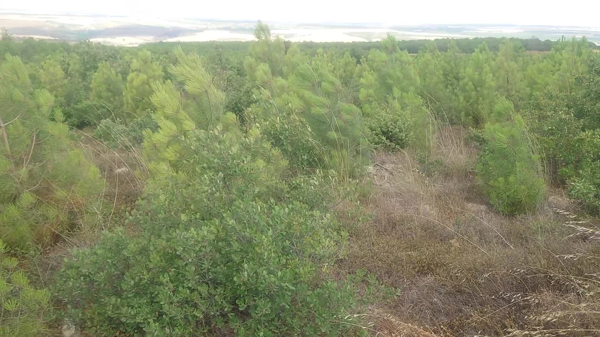 Watch unnamed | Streamable