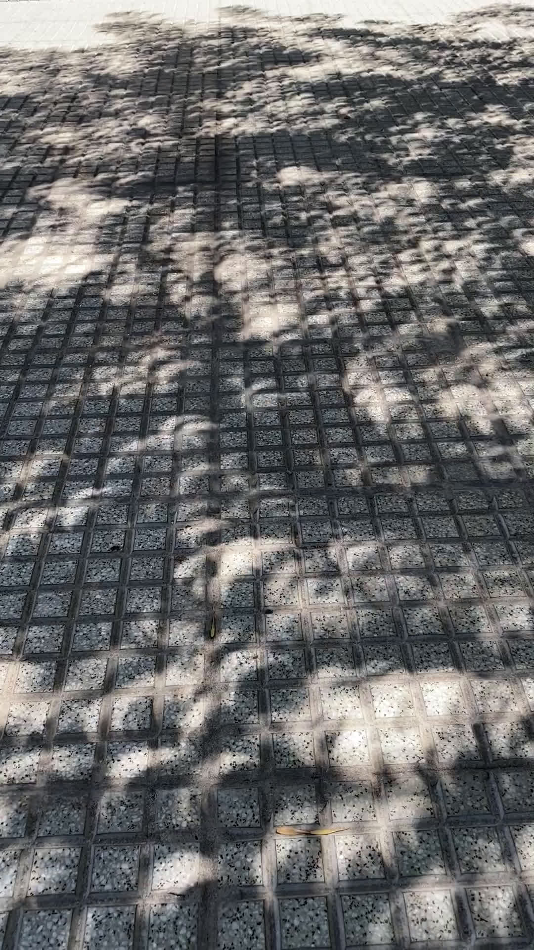Shadows during eclipse