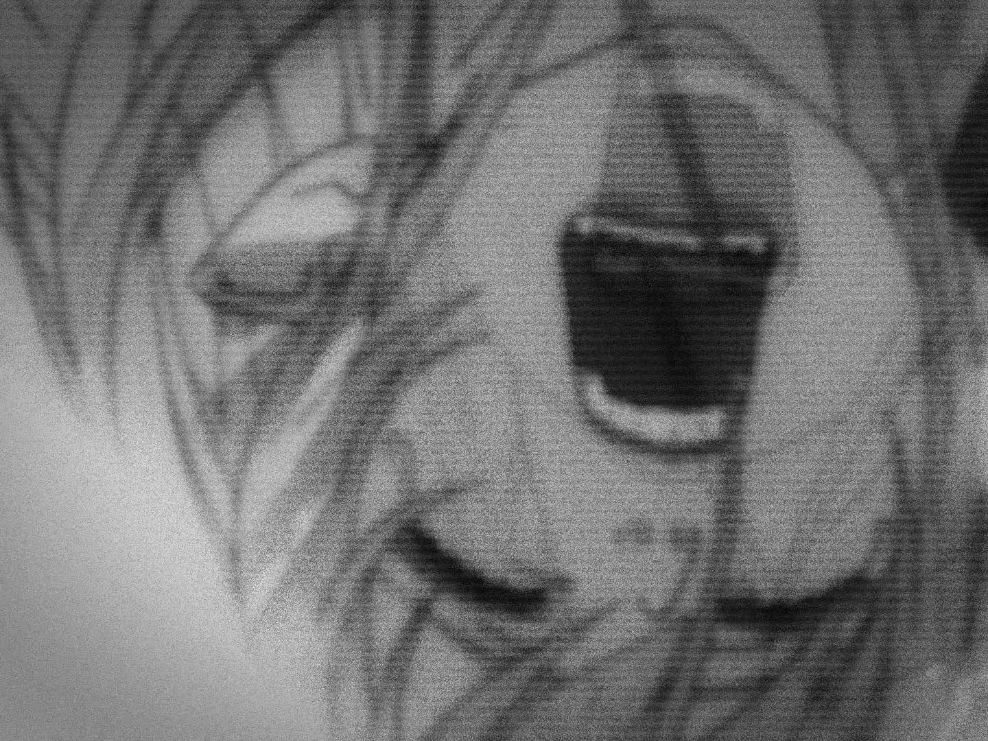 Watch Carti | Streamable