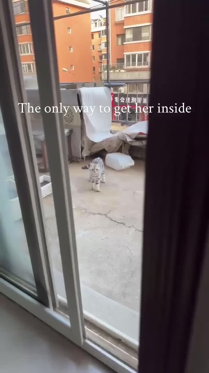 Watch rapidsave.com_maybe_maybe_maybe-9medzf4b550f1 | Streamable