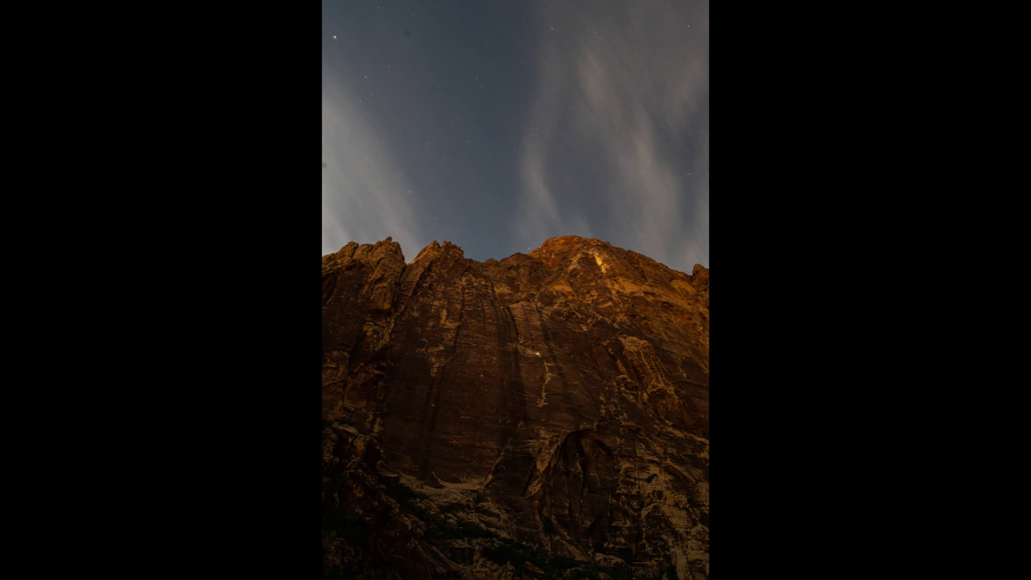 Watch Dream of Wild Turkeys Timelapse | Streamable