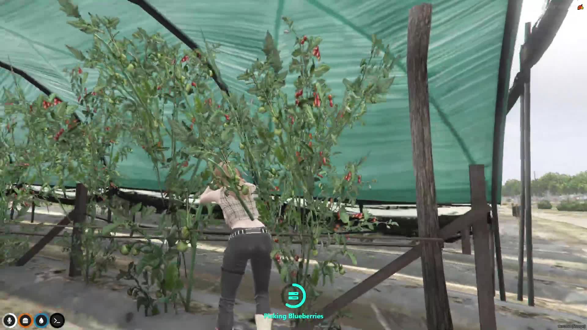 Watch Picking things! | Streamable