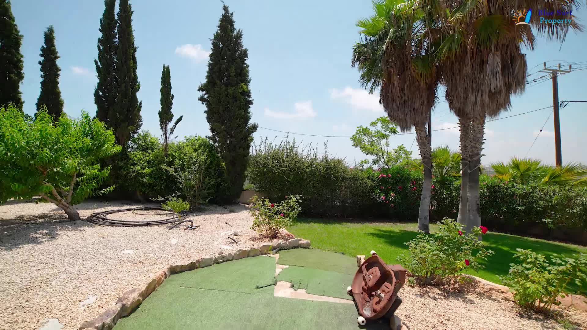 Watch 2665 | Streamable