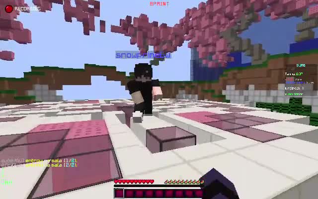 Watch Minecraft_ 1.8.9 - Multiplayer (3rd-party Server) 2025-05-11 00 ...