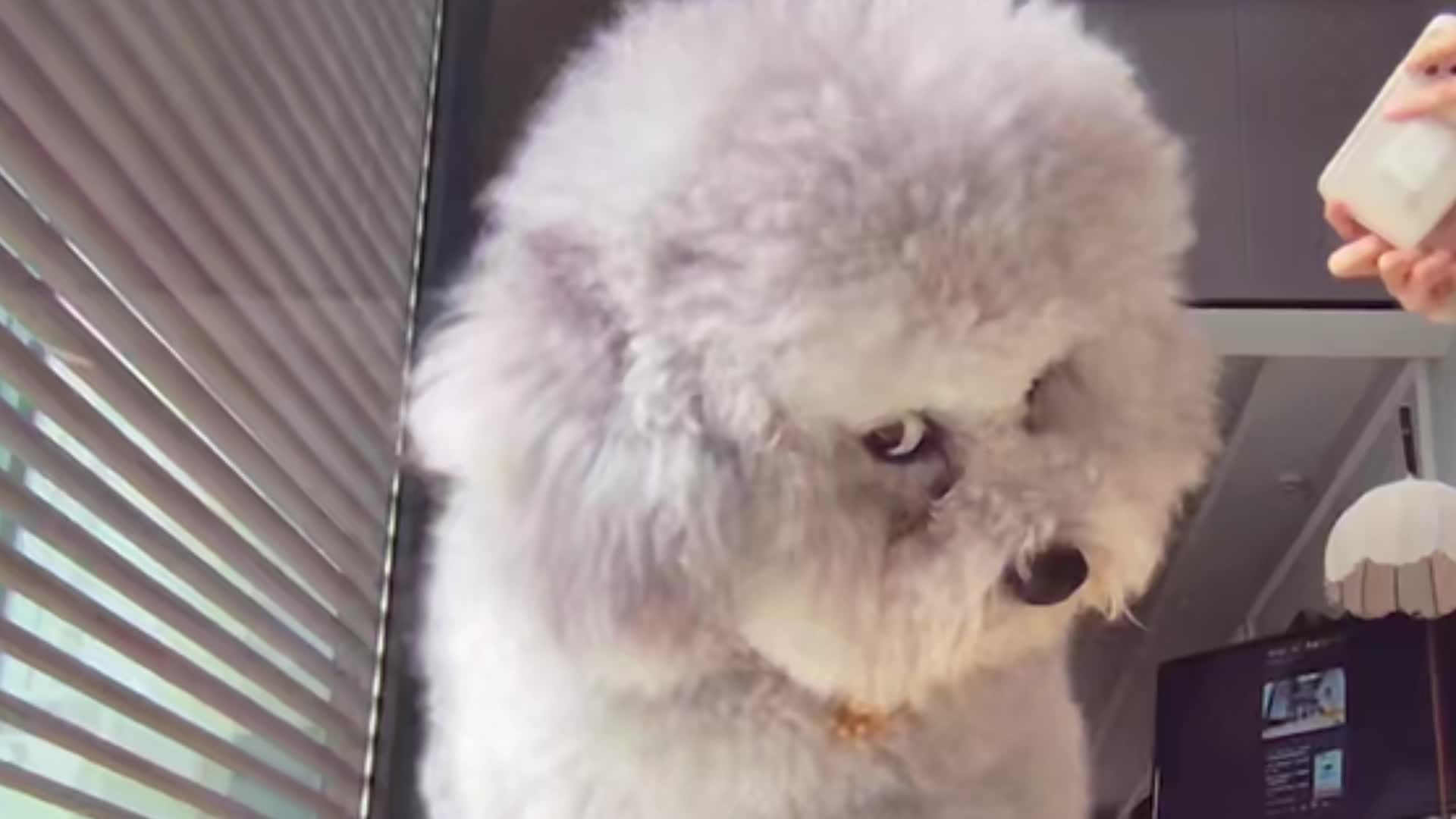 Watch sz0755sz-7329845266968874279-dy-video-godownloader.com (3 ...