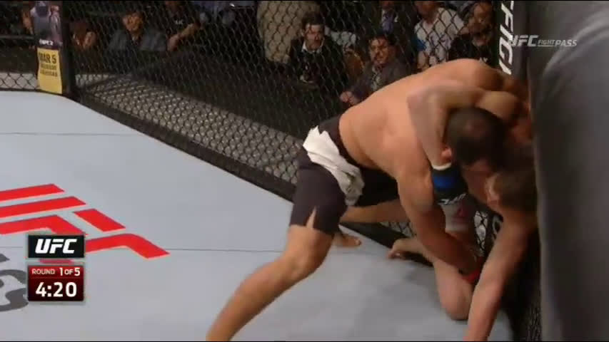 Thomp-san y Hen-drix