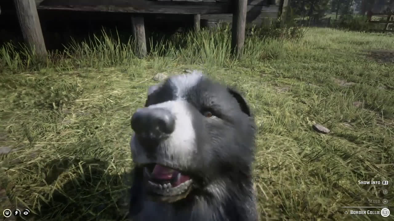 RDR2 First Person Good Boys