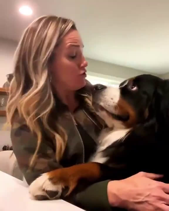 redditsave.com_the_look_of_unconditional_love_red_heart-60wgai1hdln61 (1)