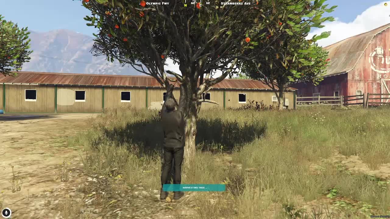 Watch SW-Farming - Picking Fruit Trees | Streamable