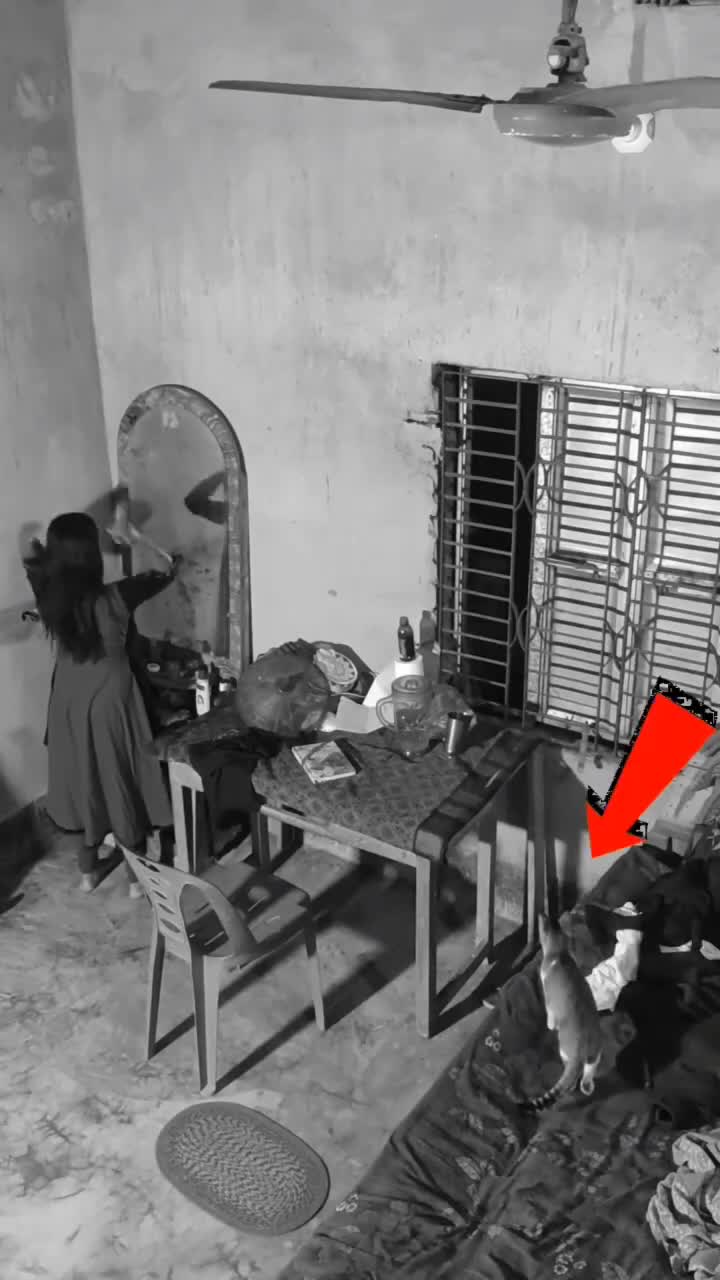 Watch 98 | Streamable