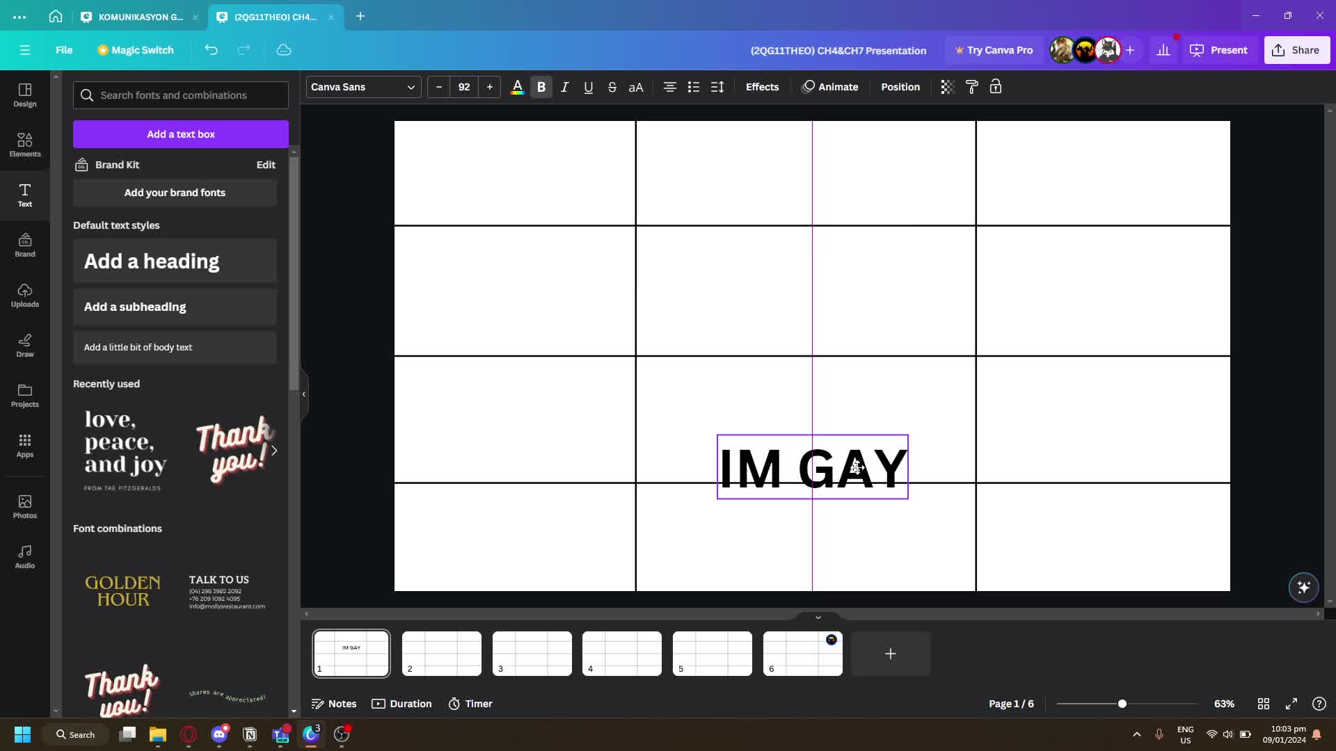 gay