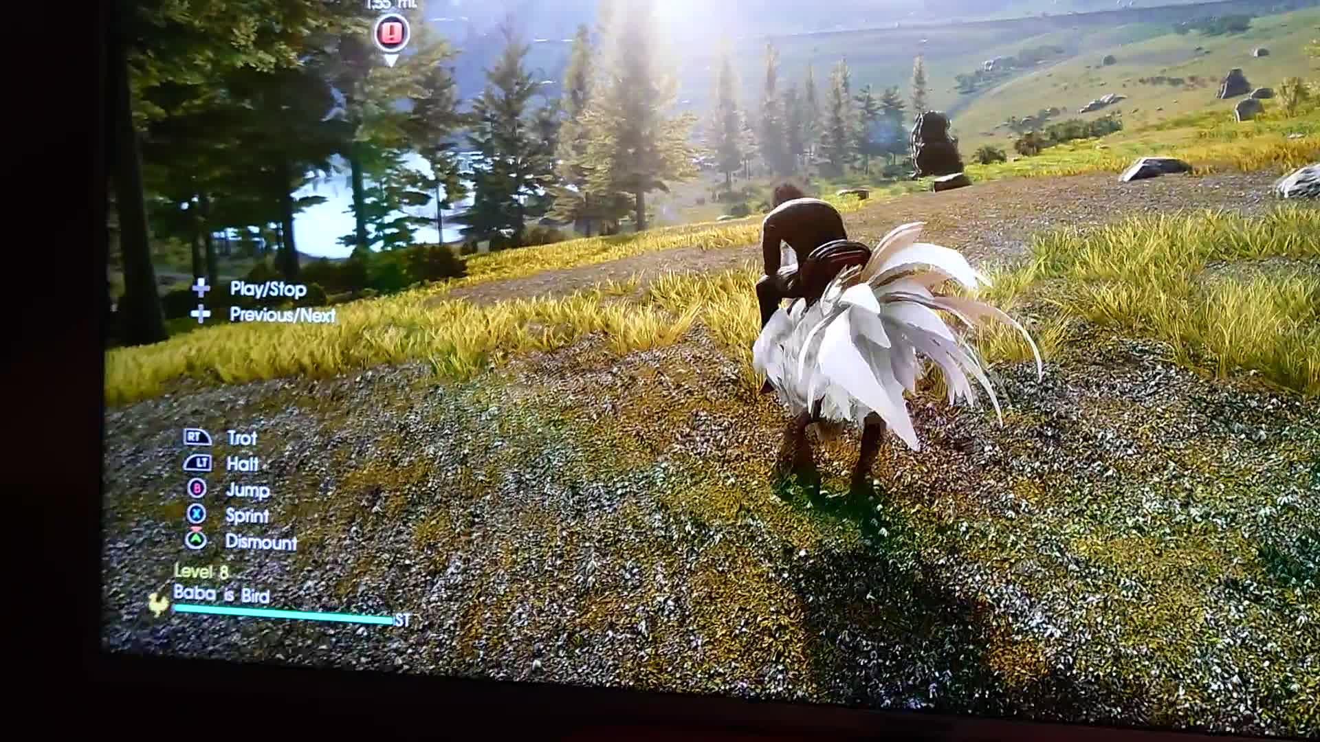 Ffxv flashing shadows and textures