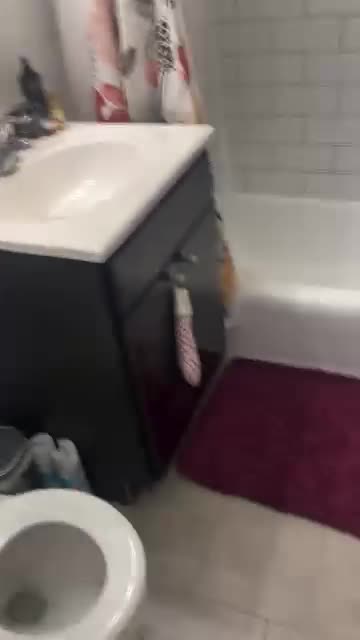 Watch 416022082_388870726949919_57536666311694599_n | Streamable