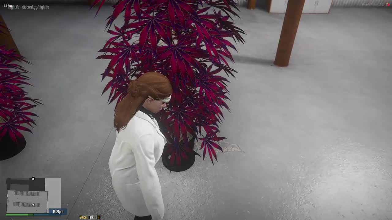 Watch Failed weed, Nice one | Streamable