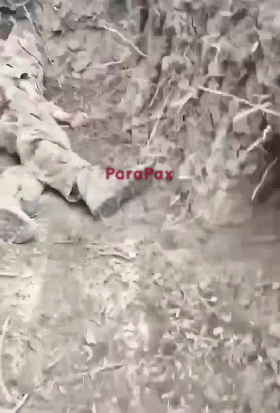 Watch video_2025-08-02_19-56-19 | Streamable