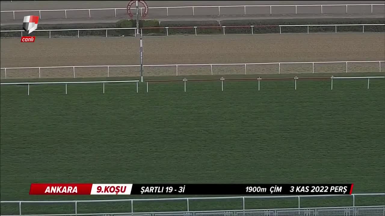 Watch 22110359_1 | Streamable