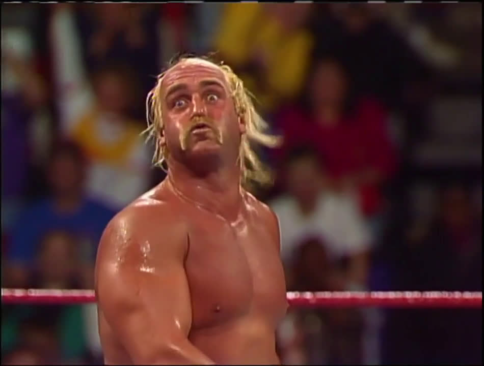 The Hulkster isn't selling shit, brother | Survivor Series 1991