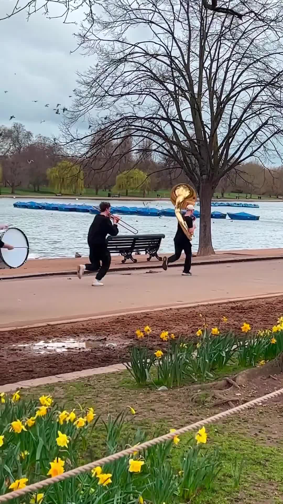 10000000_896331614933770_5020650307381930926_n