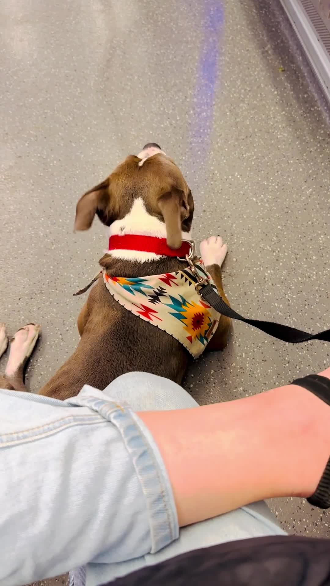 Watch IMG_6815 | Streamable