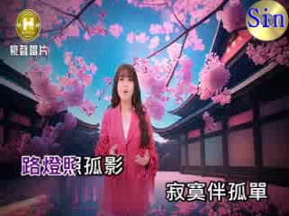 Watch 廖婉君-幸福為我留-KTV字幕 | Streamable